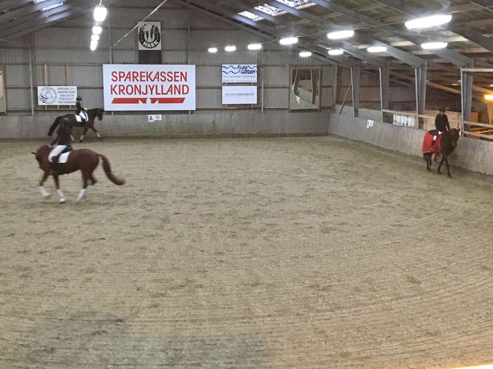 programtræning for alle i LD1-LD2-LC1-LC2- LC 3 - LB1 - også for ...